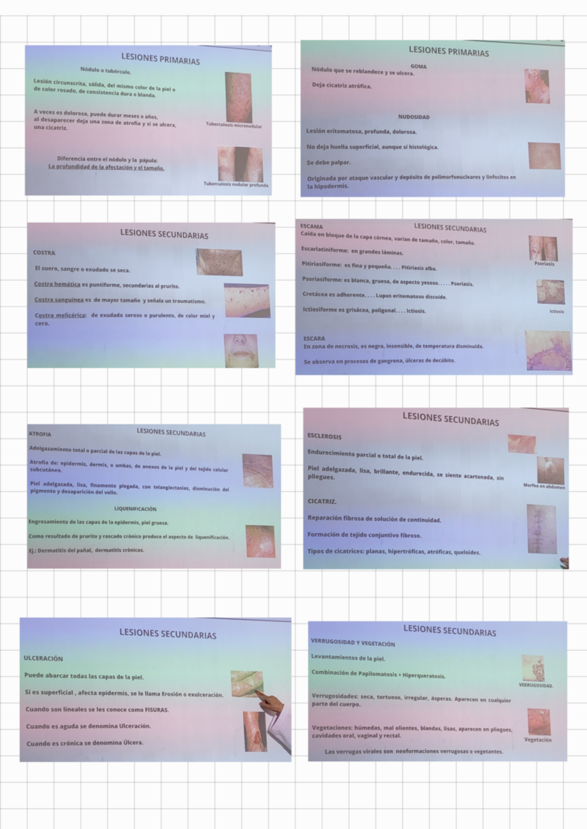 1ER Parcial Dermatologia 2 - LESIONES PRIMARIAS LESIONES PRIMARIAS GOMA ...