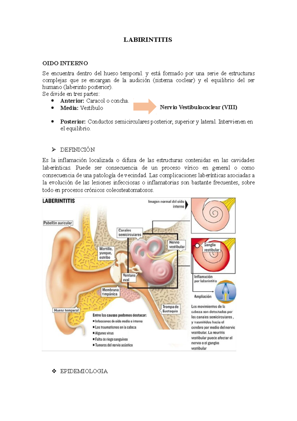 Todo sobre la Labirintitis - LABIRINTITIS OIDO INTERNO Se encuentra ...