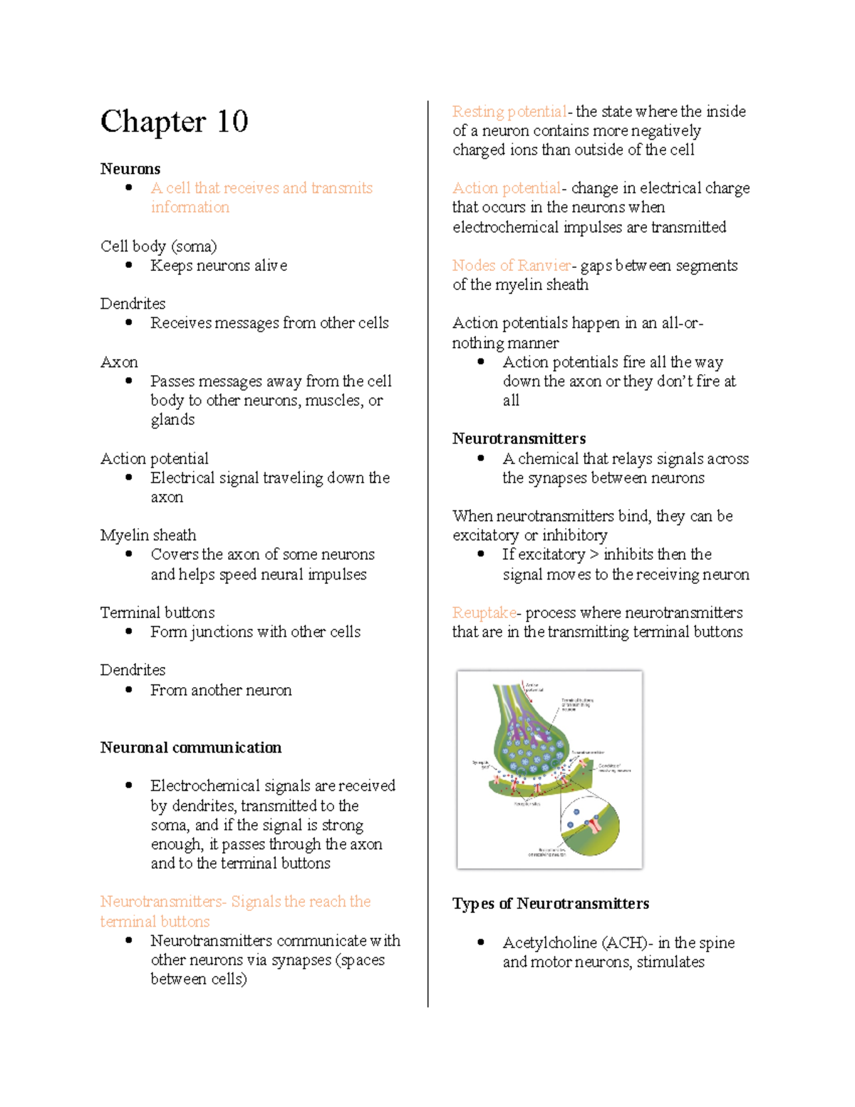 Week 6 (W) - Psychology week 6 notes - Chapter 10 Neurons A cell that ...