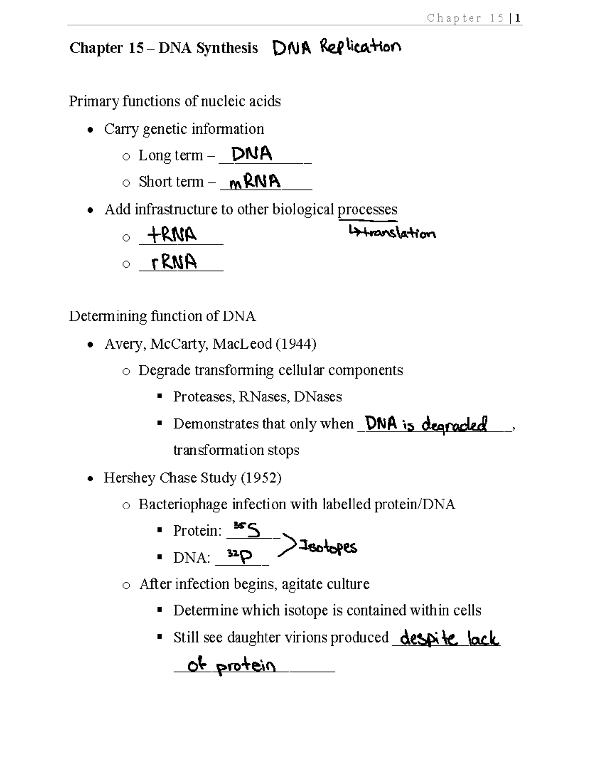 Chapter 15 Notes - Chapter 15 – DNA Synthesis Primary functions of ...