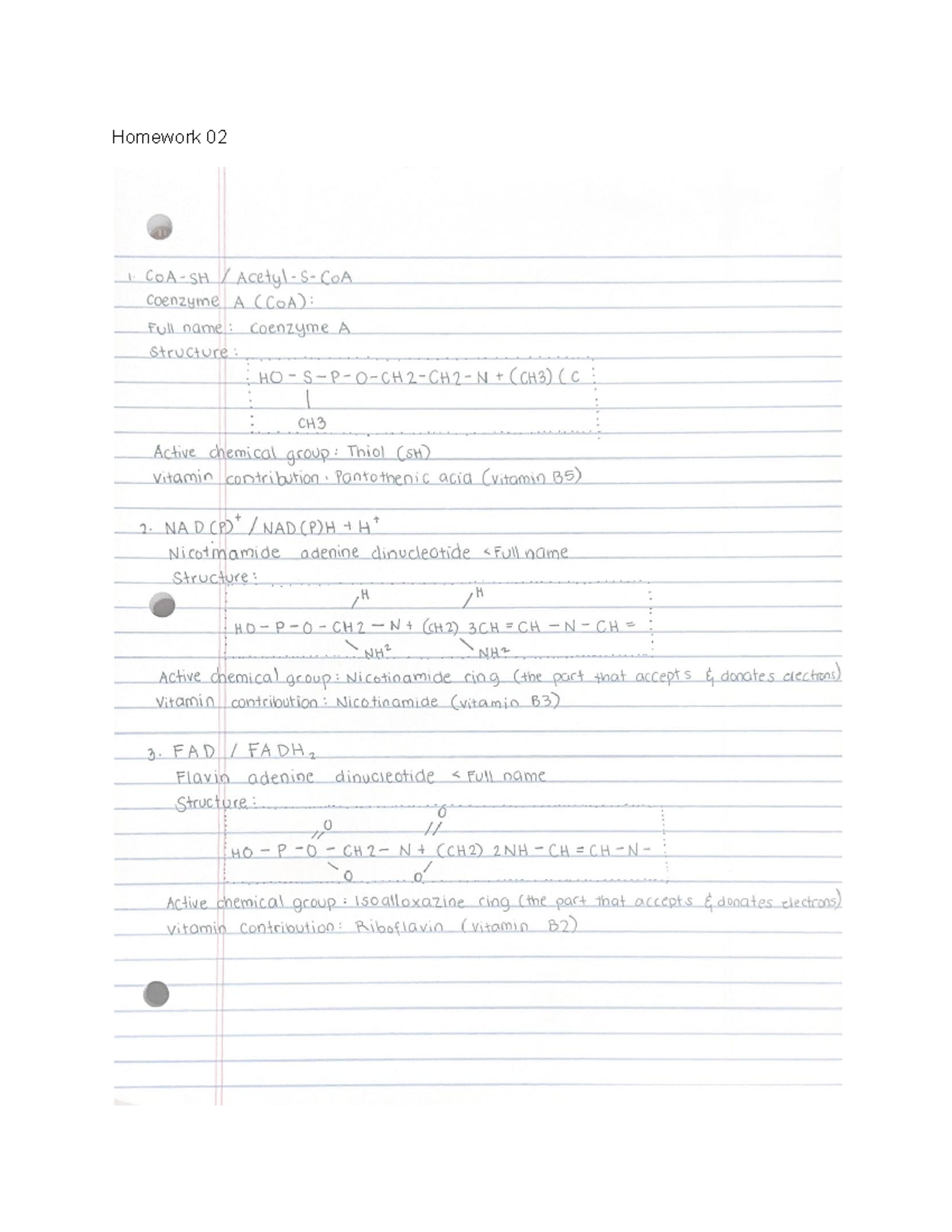 Homework 02 bio - R120 201 - Homework - Studocu
