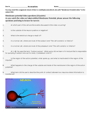 Lab manual blood vessels a p part3.pdf - I. Veins of the Head and Neck ...
