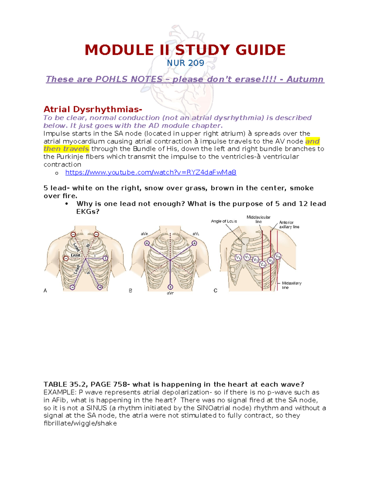 Module 2 Study Guide with Notes from Pohl - MODULE II STUDY GUIDE NUR ...