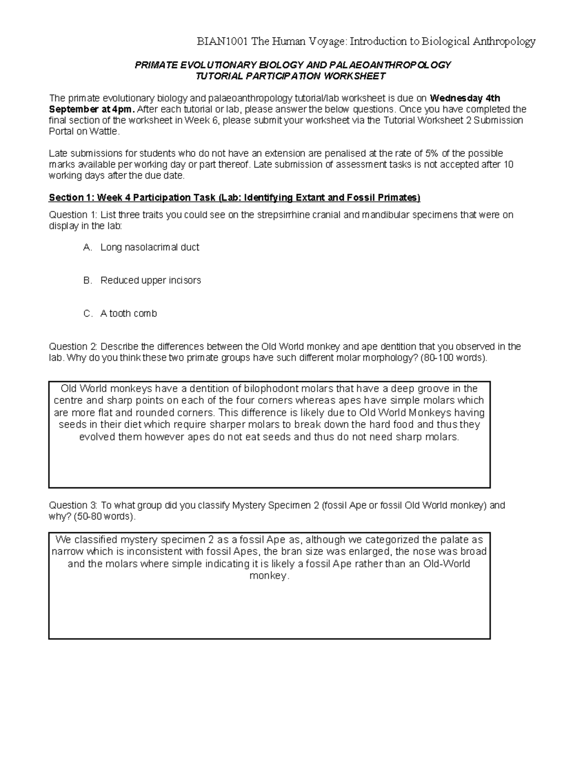 BIAN1001 Tutorial Worksheet 2 - Old World monkeys have a dentition of ...