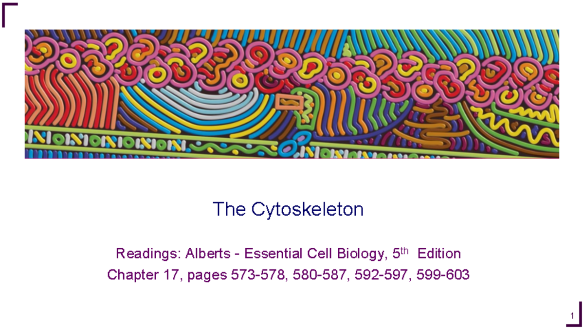 BIO130 Section 2 Week 4 The Cytoskeleton Lecture Notes - 1 The ...