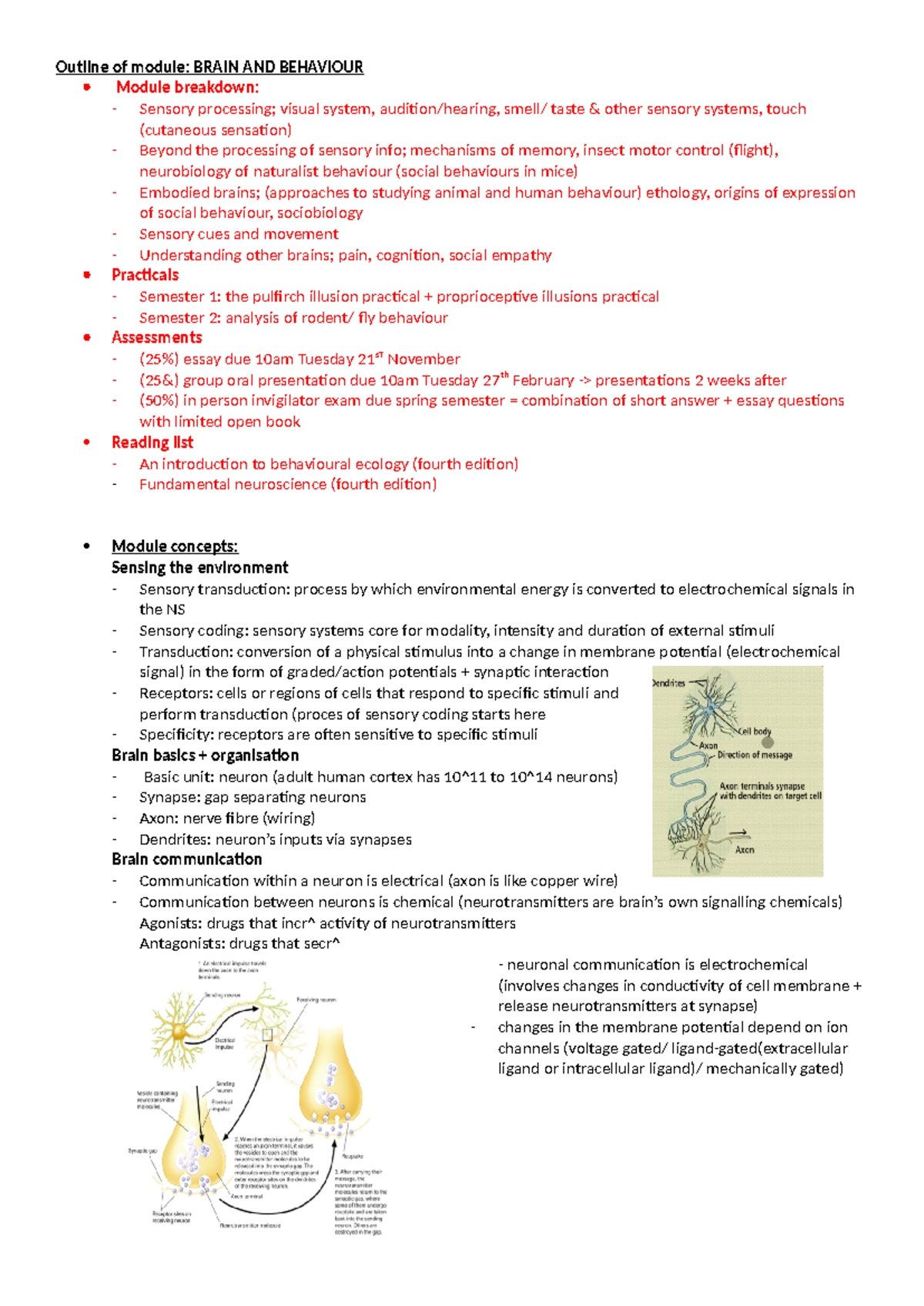 Outline of module + Basic INFO - Outline of module: BRAIN AND BEHAVIOUR ...