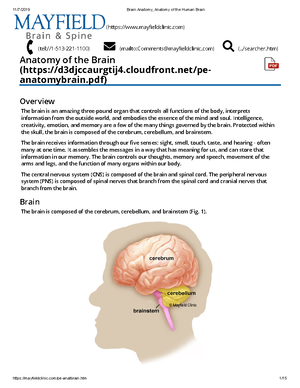 Ninja Nerd 🥷 Embryology Notes Complete - Development of the GIT Part 1 ...