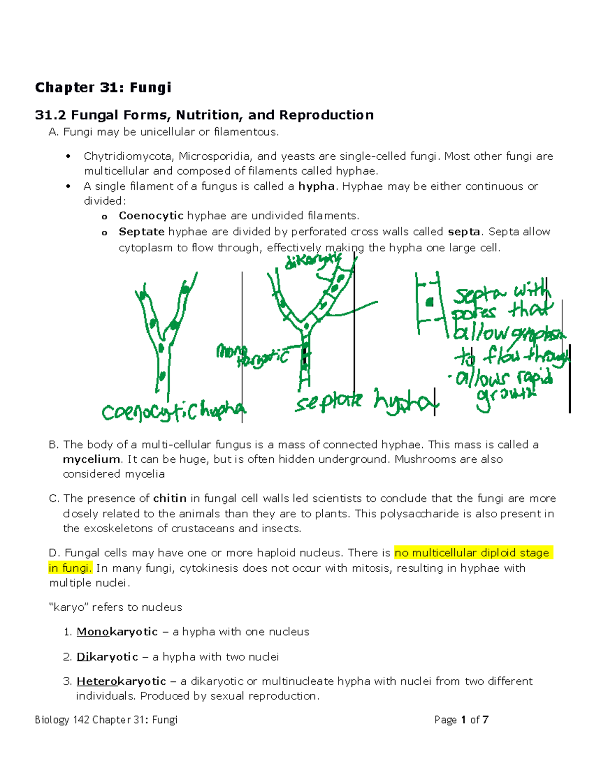 Chapter 31 Fungi study guide with notes - Chapter 31: Fungi 31 Fungal ...