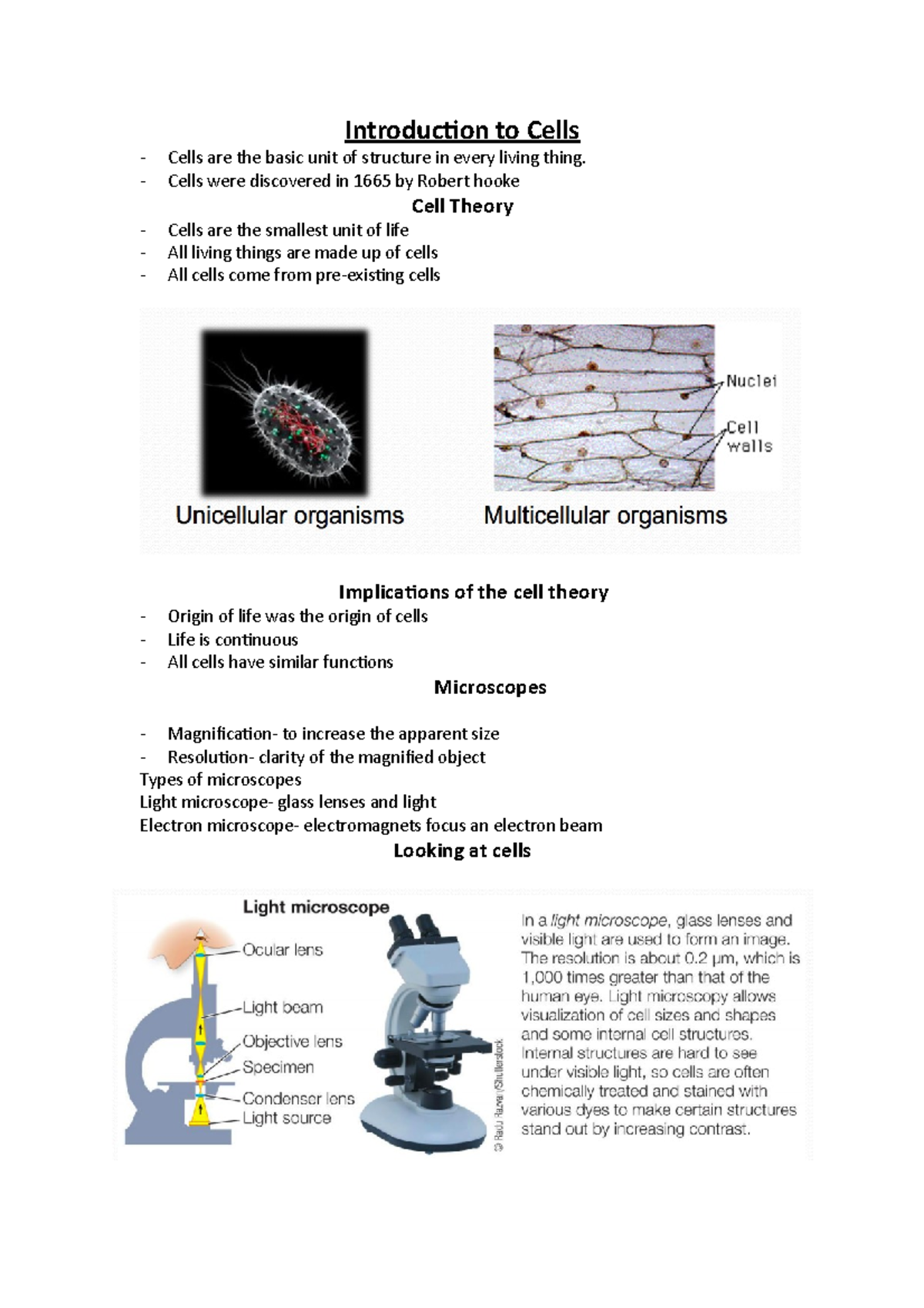 Introduction to Cells - Introduction to Cells Cells are the basic unit ...