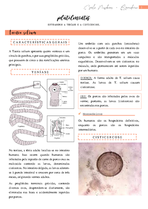 Enterobius vermiculares (enterobiase, morfologia, patogenia, ciclo ...