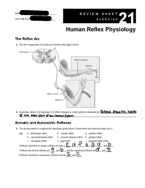 Chapter 1 The Human Body An Orientation 1.6 - CORNELL NOTES SHEET Name ...