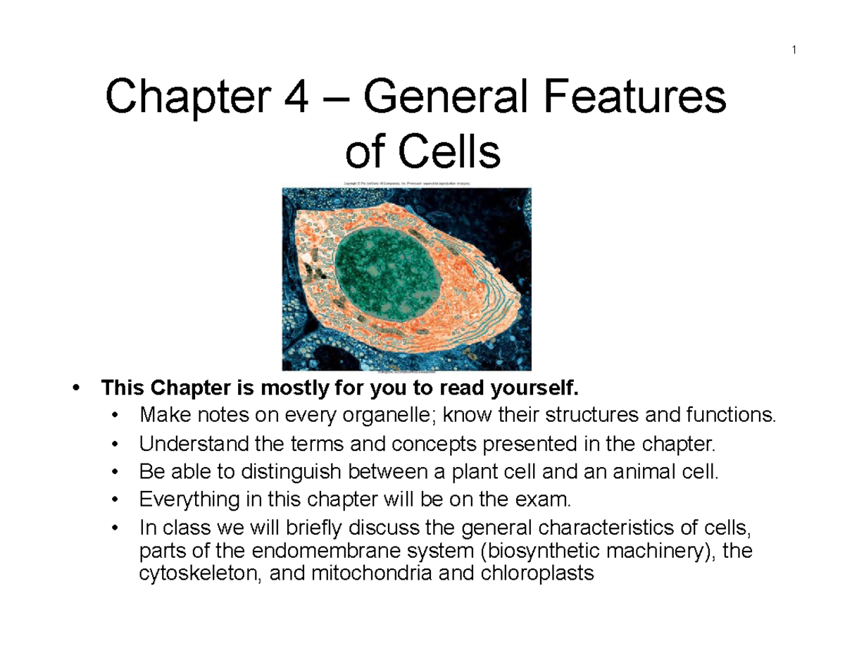 CH 4 Notes for cell bio - 1 Chapter 4 – General Features of Cells ...