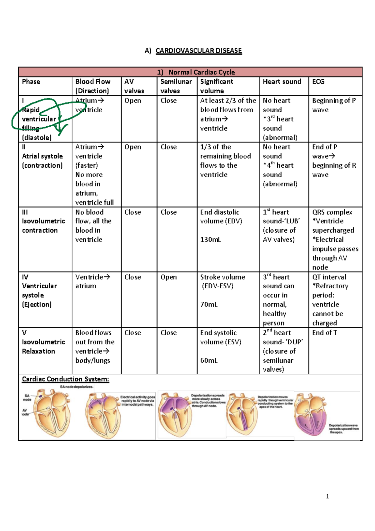 01. Cardiovascular Review - A) CARDIOVASCULAR DISEASE 1) Normal Cardiac ...