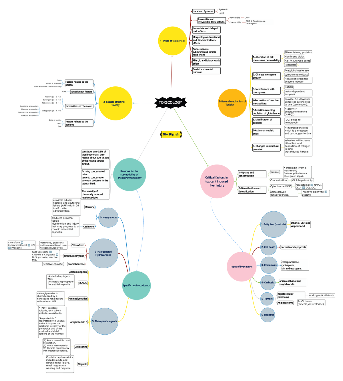Toxicology mind map - TOXICOLOGY 3-General mechanism of Toxicity 1 ...
