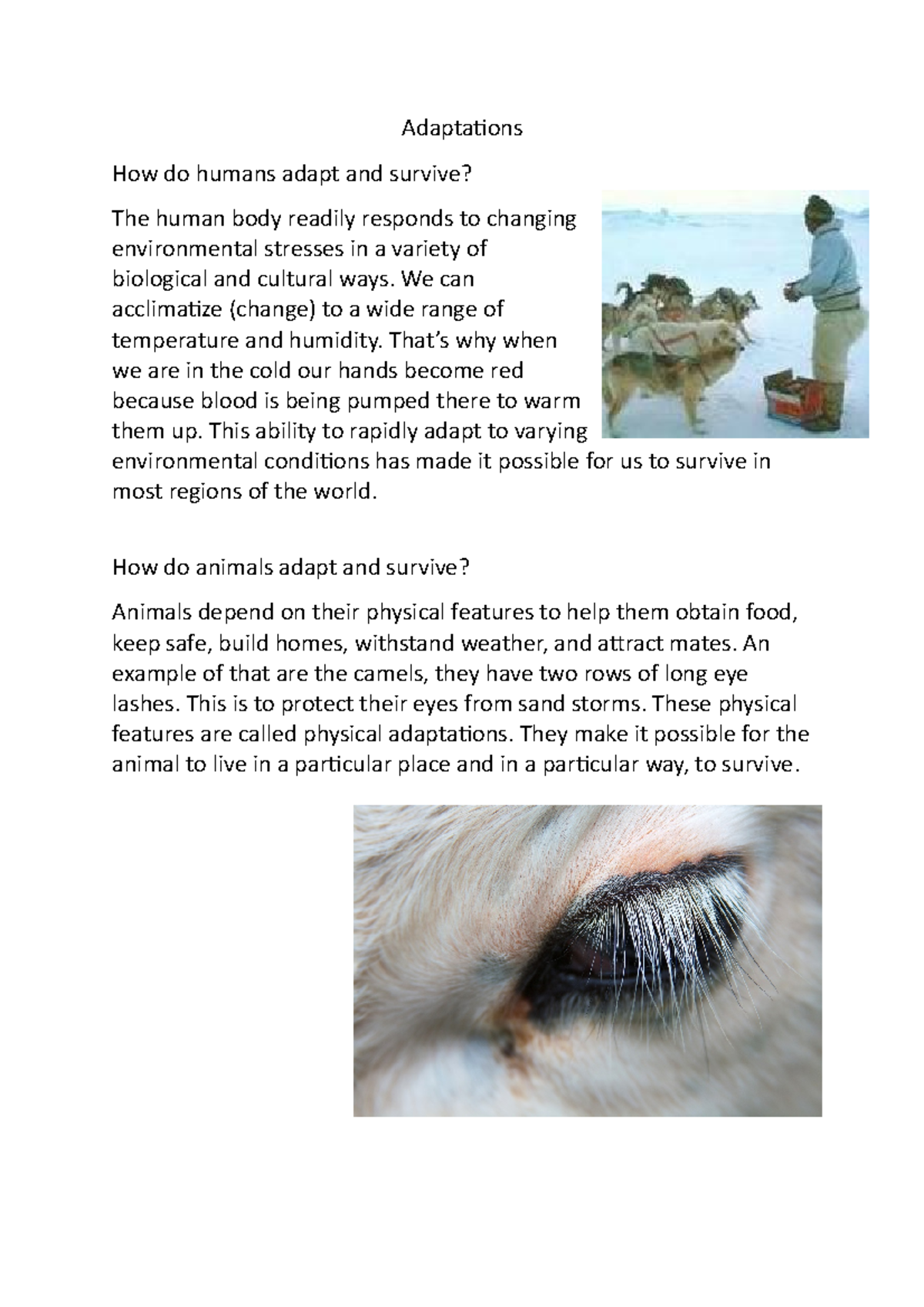 Adaptations 1 - Adaptations How do humans adapt and survive? The human ...