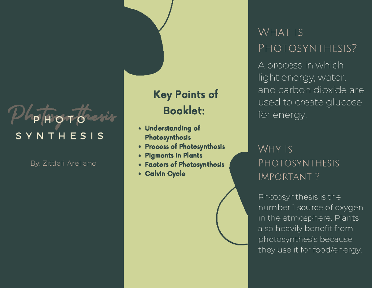 Bio Final - Photosynthesis Booklet Light Reactions - What is ...