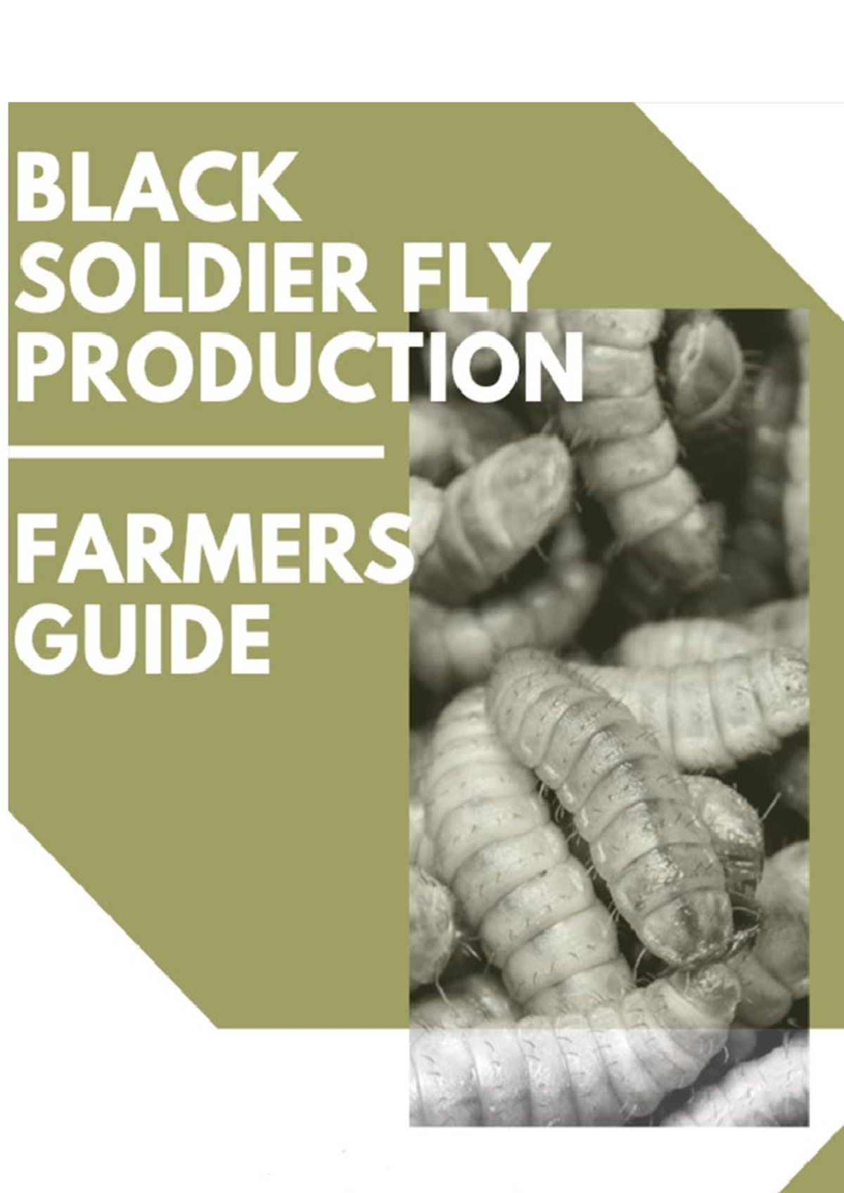 IDL - 60970 - Optional - I. Black Soldier Fly Production Farmers Guide ...