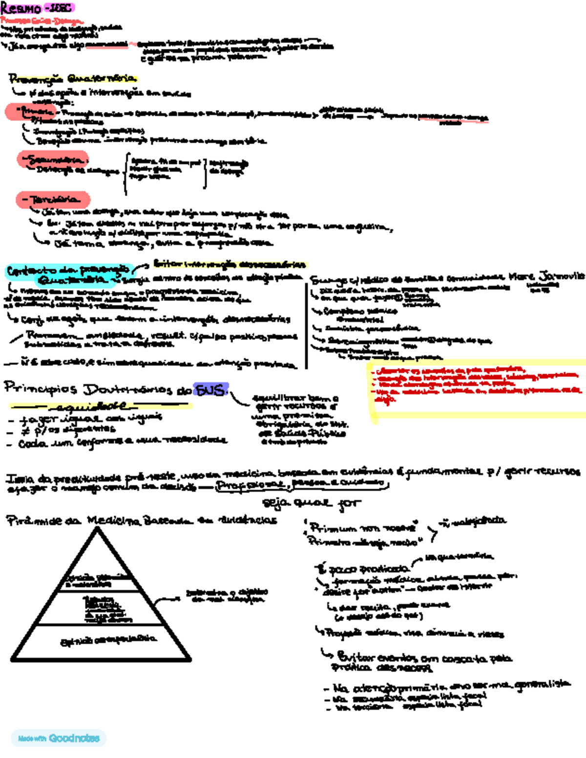 Prevenção Quaternária - RESUMO-IESC Processo - > Saúde-Doenga eraNos ...