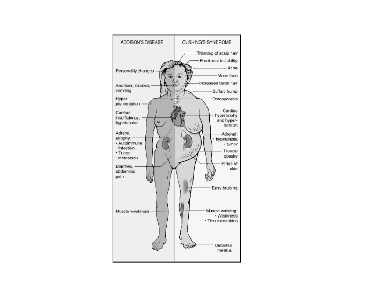 Addison and Cushings Cheat Sheet 7 2021 - PYSC 1308 - Studocu
