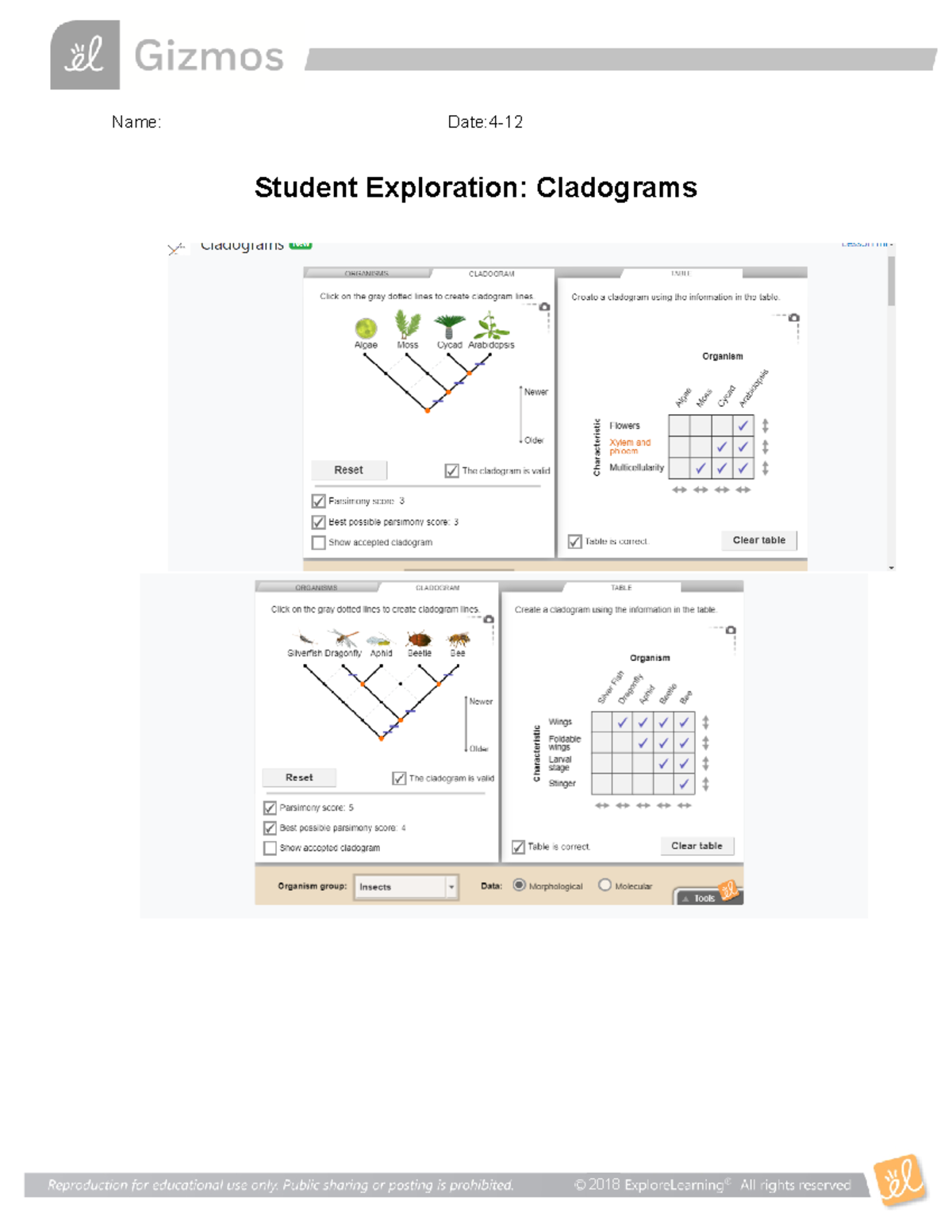 Cladograms SE - The article for a marine magezine. - 2018 Name: Date:4 ...