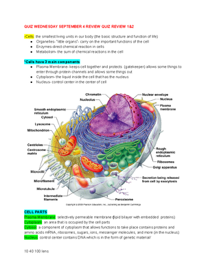 Chapter 1 Anatomy human body and orientation 8-26-19 - Anatomy: the ...