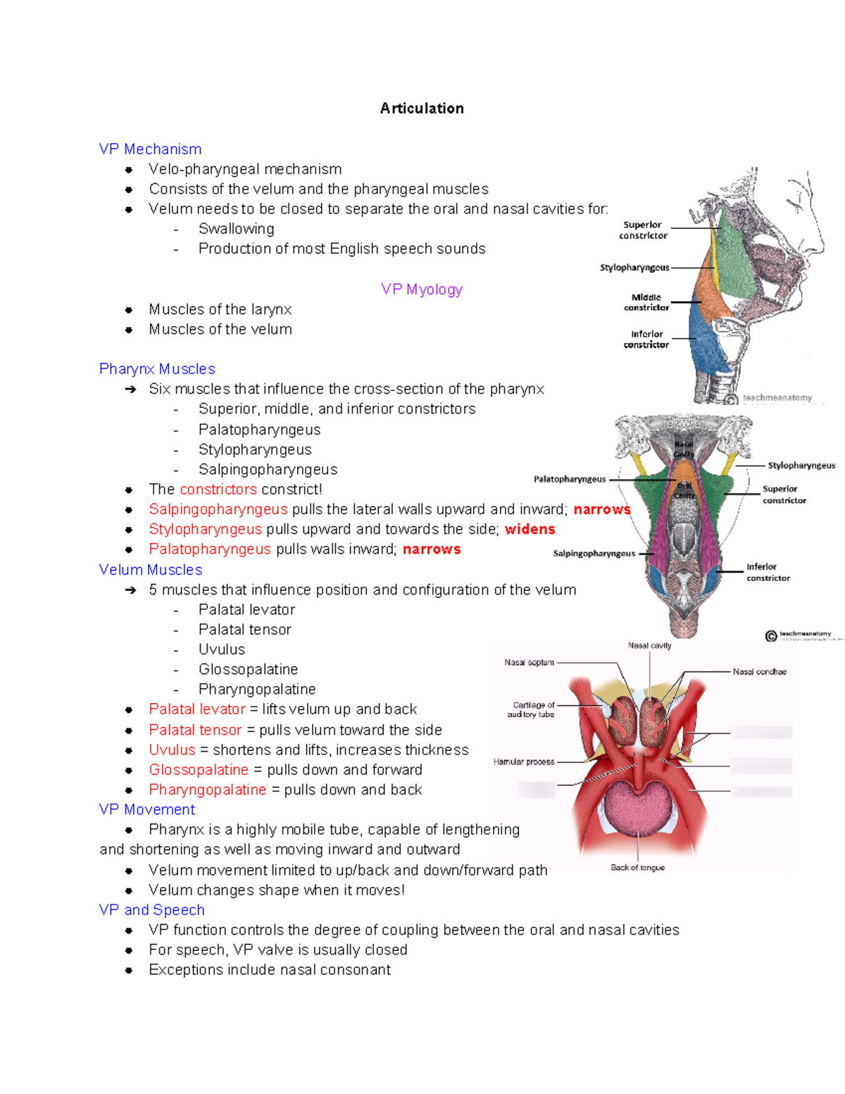 SLHS 2203 Articulation - Articulation VP Mechanism Velo-pharyngeal ...