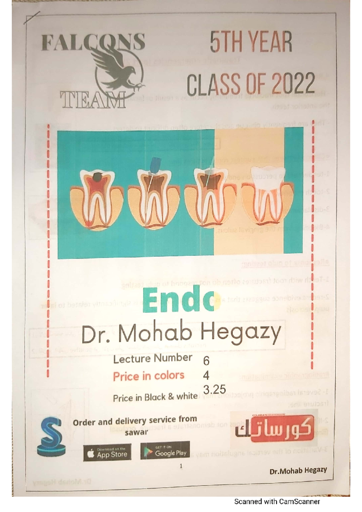 Endo 6 - dental anatomy - Studocu