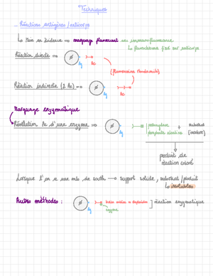 Exercices TD Génétique Fondamentale L3S5-2022 - 1 Génétique ...