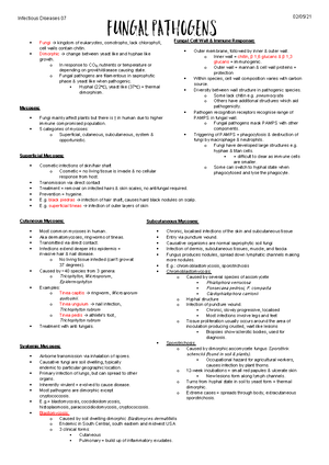 Causes of diseases in humans - The causes of disease in humans There ...