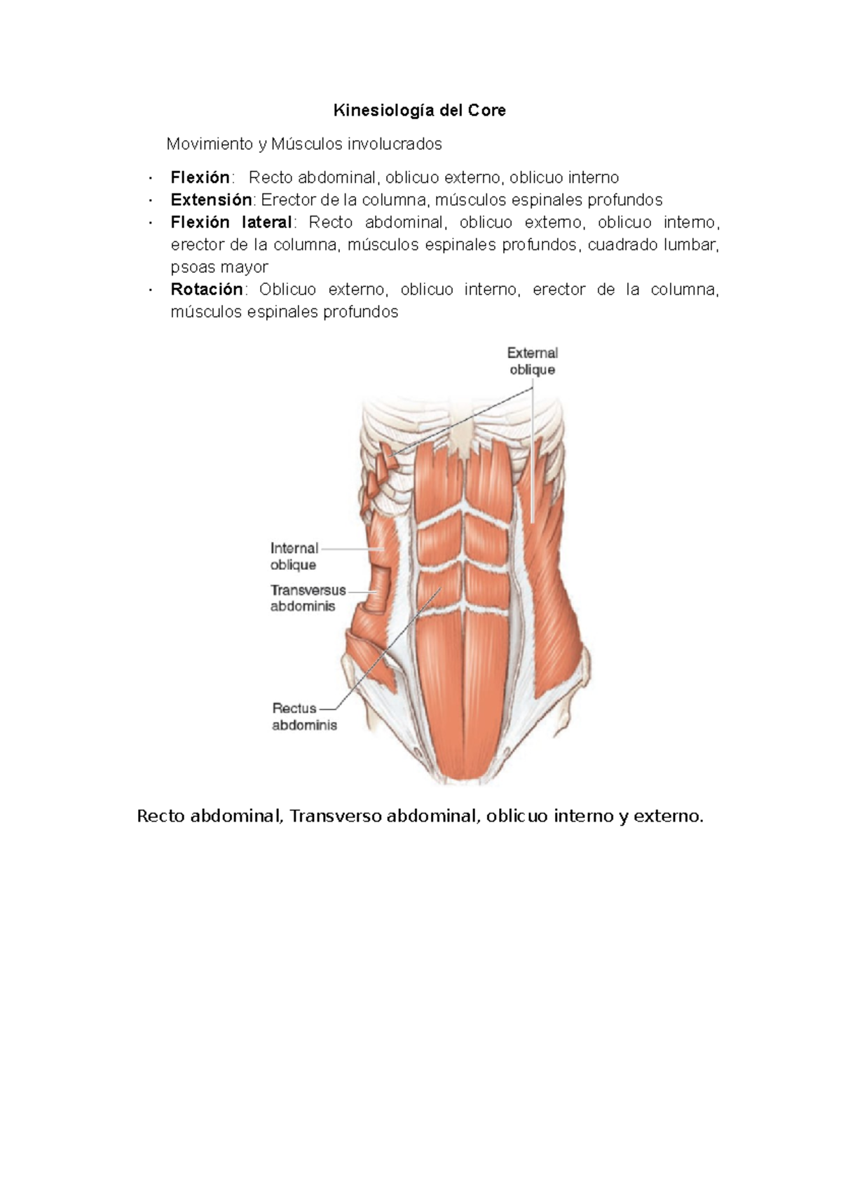CORE musculos - musculacion - Kinesiología del Core Movimiento y ...