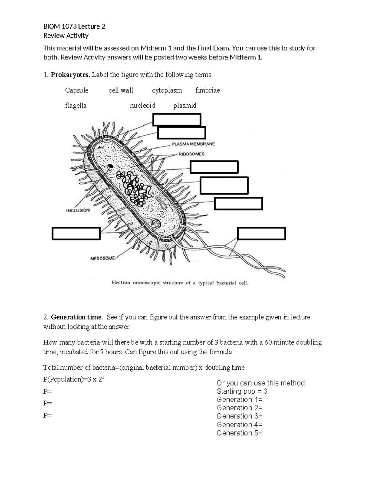 BIOM 1073 Lecture 2-Prokaryotes Review Activity - Review Activity This ...