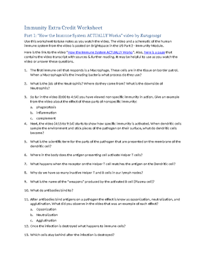 Bacterial Unknown Project - Bacterial Unknown Identification Project ...