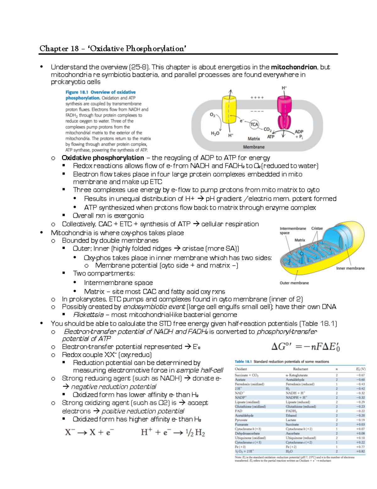 Chapter 18 Oxidative Phosphorylation - Chapter 18 – ‘Oxidative ...