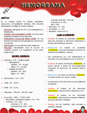 Traumatismo Vertebromedular - TRAUMATISMO VERTEBROMEDULAR La arteria ...