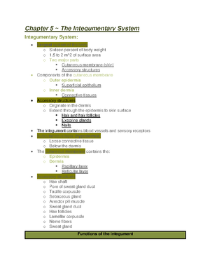 Chapter 4 ~ The Tissue Level of Organization - Chapter 4 ~ The Tissue ...