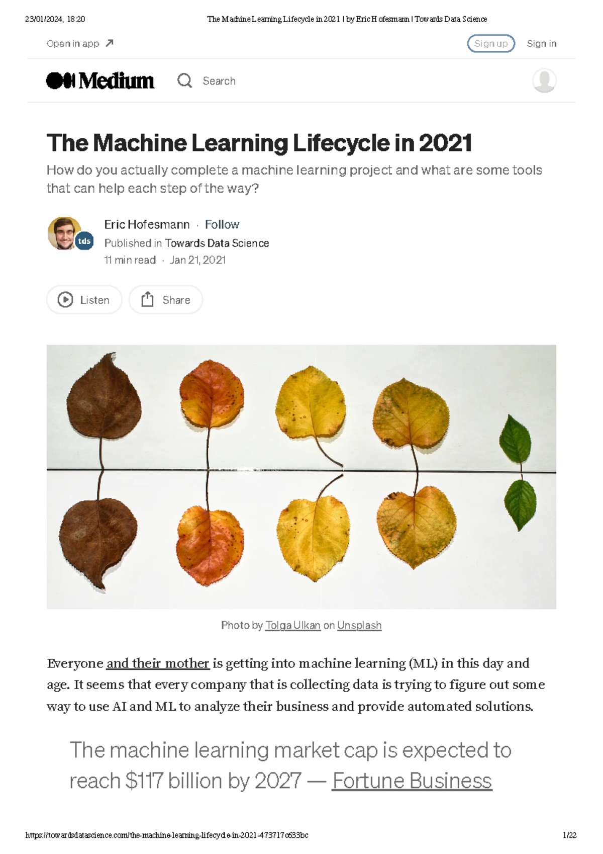 The Machine Learning Lifecycle in 2021 by Eric Hofesmann Towards Data ...