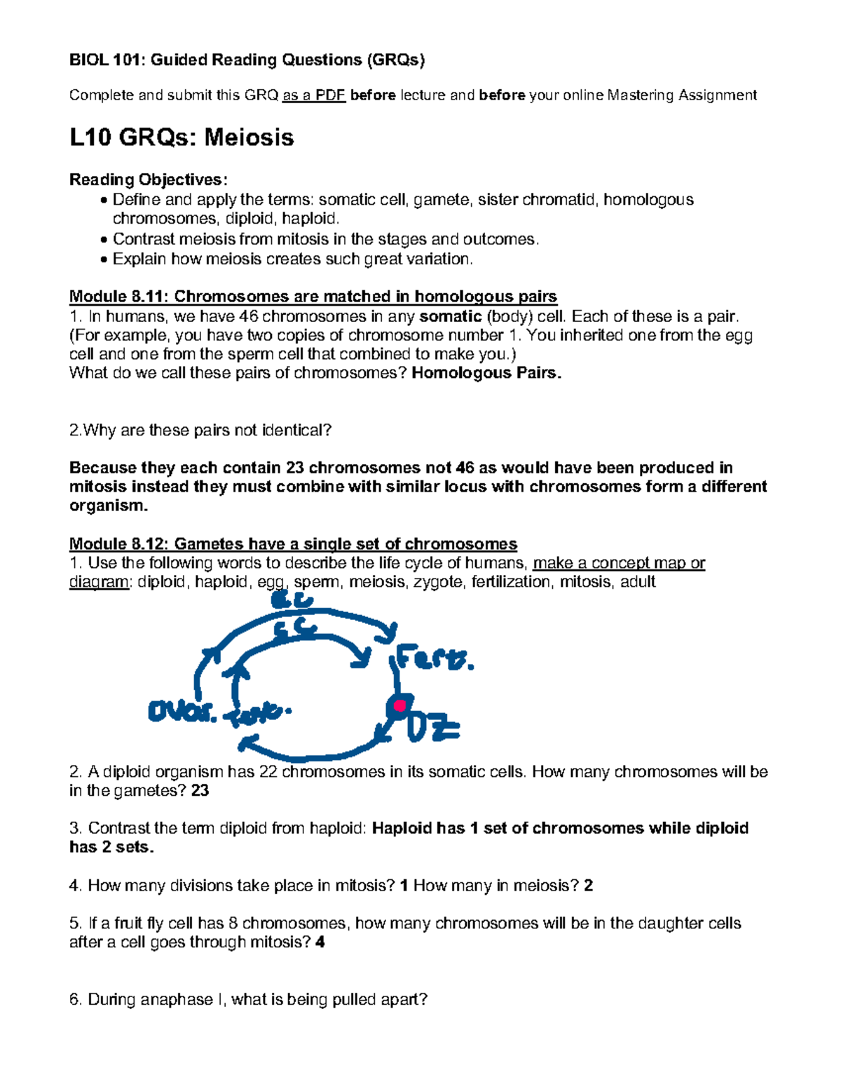Lesson 10 GRQs Meiosis - GRQ - BIOL 101: Guided Reading Questions (GRQs ...