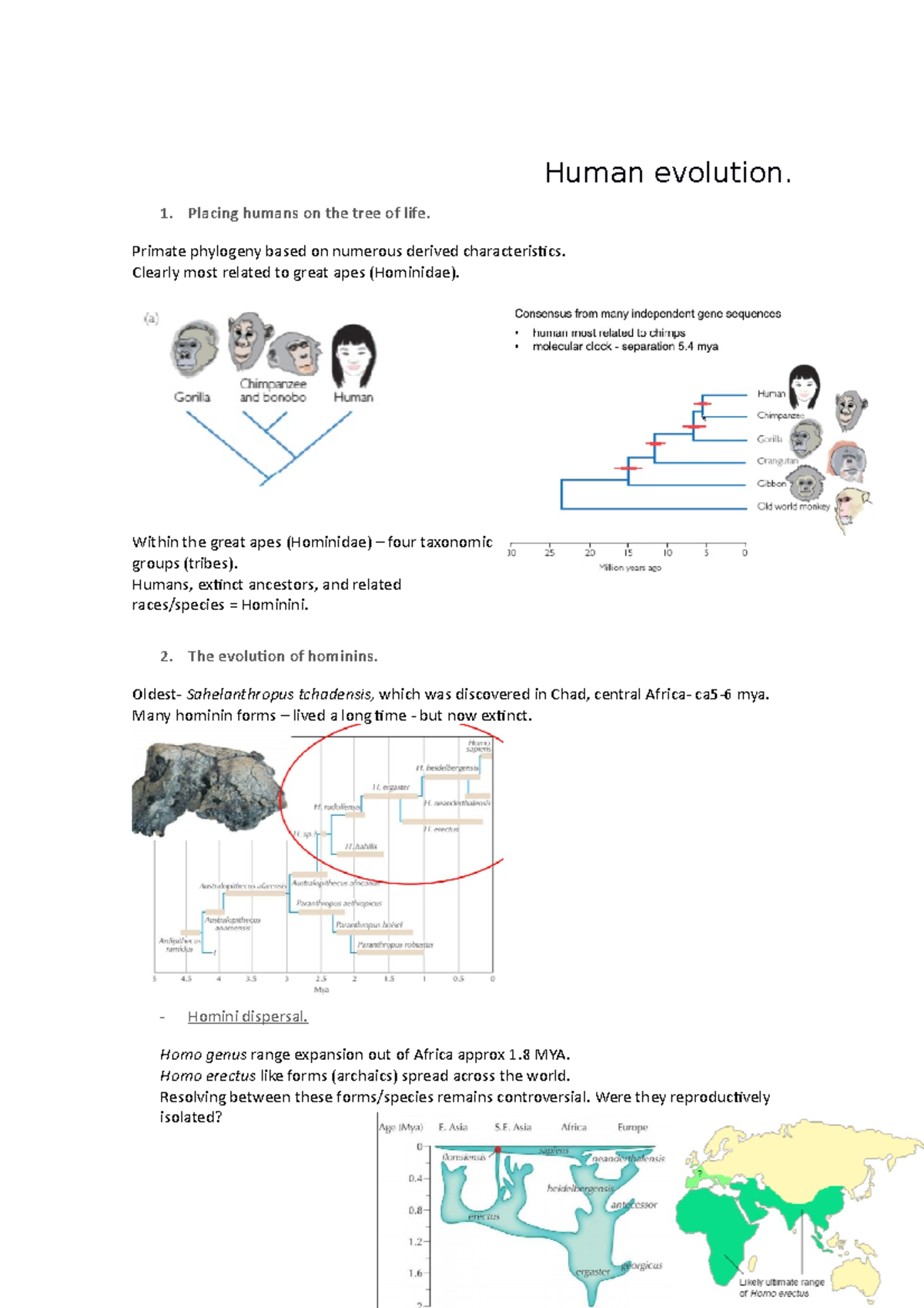 20. Human evolution - Lecture notes 20 - Human evolution. 1. Placing ...