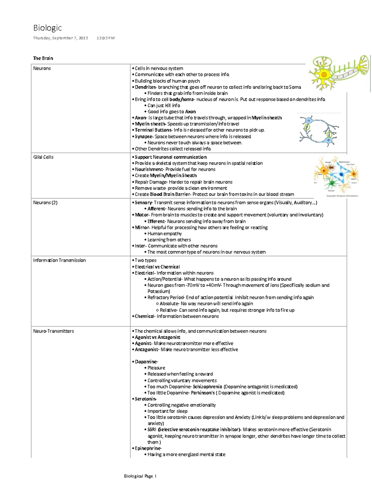 Biologic Module - Neurons • Cells in nervous system - Communicate with ...