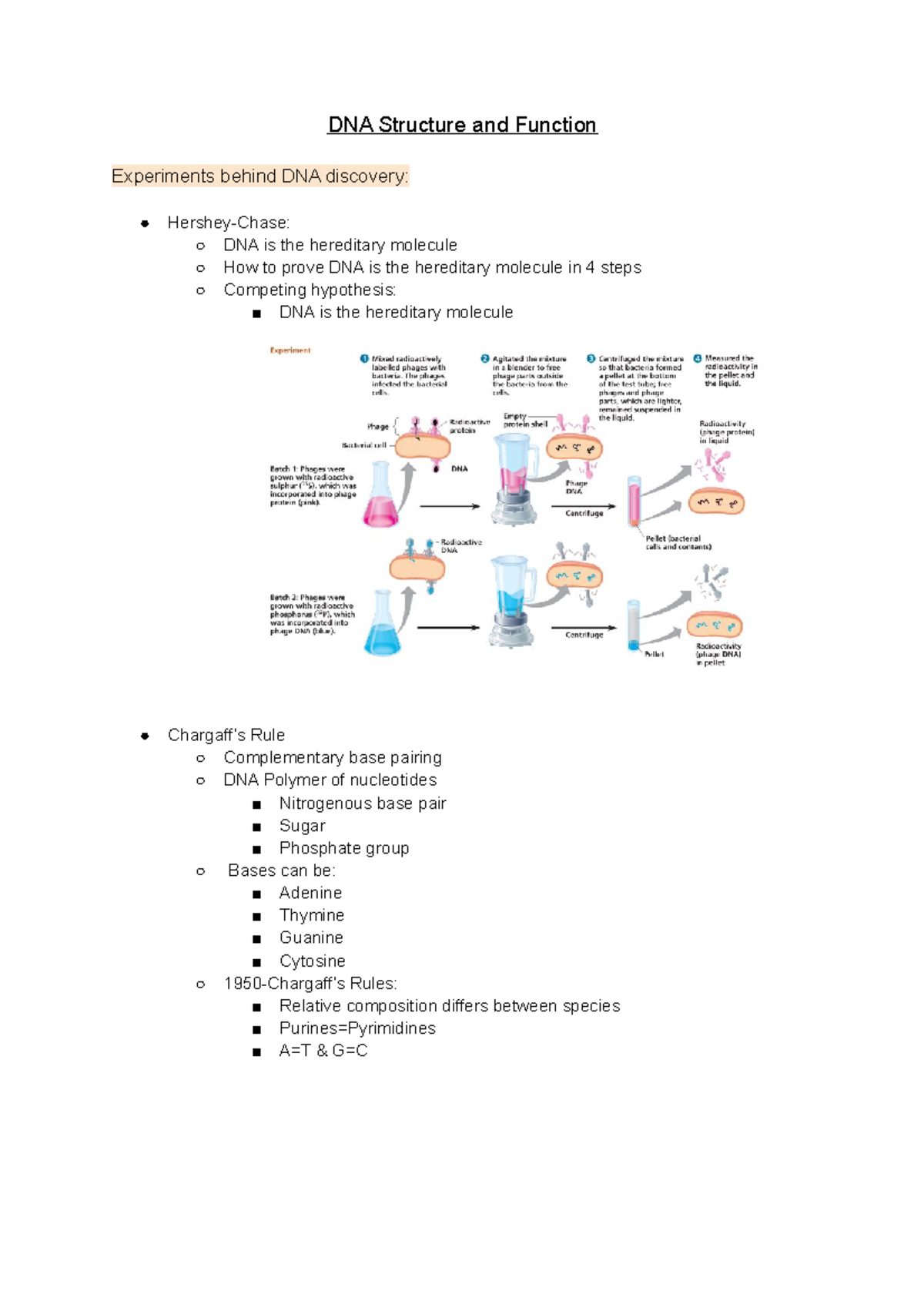 DNA Structure and Function-Notes - DNA Structure and Function ...