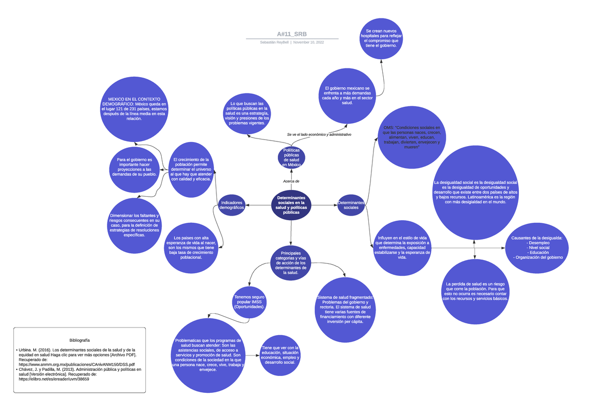 A#11 SRB - Determinantes sociales en la salud y políticas públicas ...