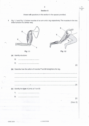 JCE Science Revision Booklet - Copy-2 - JCE SCIENCE REVISION BOOKLET ...