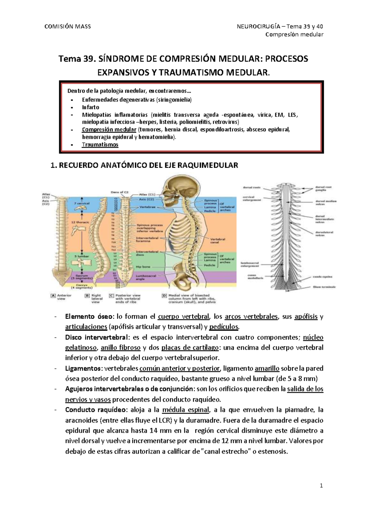 Temas 39 y 40. Compresión medular y radicular - Compresión medular Tema ...