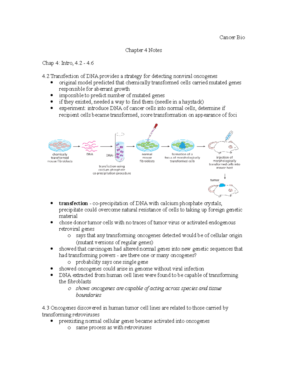 Ch 4 Notes - Lecture 4 - Cancer Bio Chapter 4 Notes Chap 4: Intro, 4 4 ...