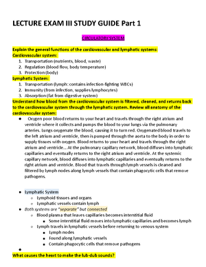 Lecture EXAM III Study Guide Part 3 - LECTURE EXAM III STUDY GUIDE Part 3 Identify the muscles ...