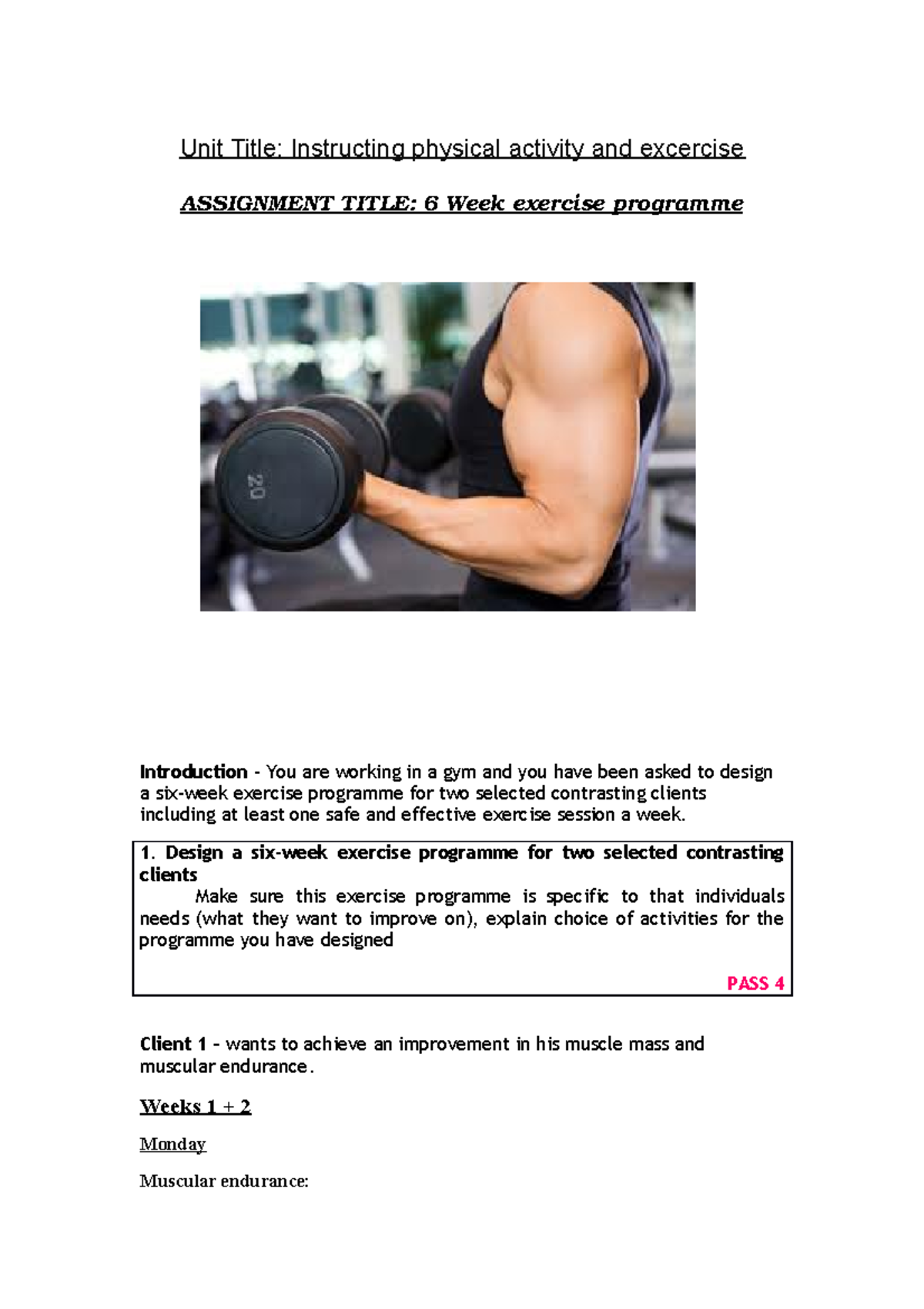 6 Week Exercise Programme - Assignment - Instructing Physical Activity ...