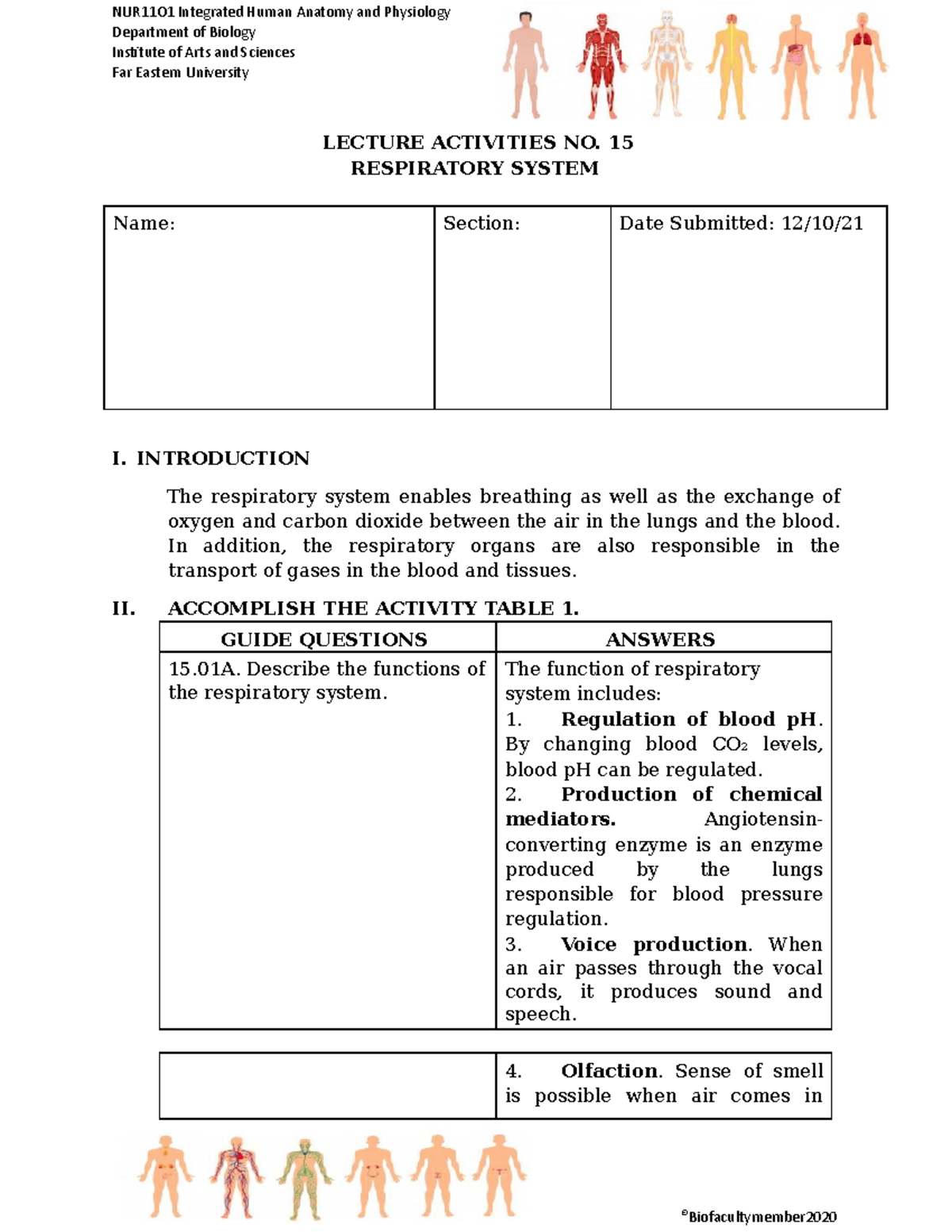 Respiratory system - Lecture - Department of Biology Institute of Arts ...
