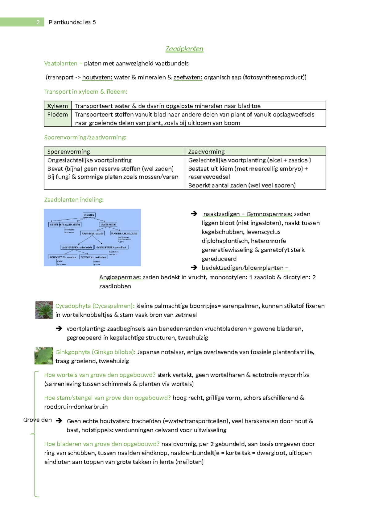 Plantkunde les 5 samenvatting - Zaadplanten Vaatplanten = platen met ...