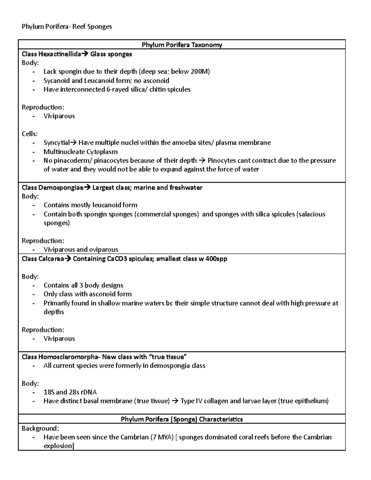 Phylum Porifera - Complete summary of the chapter content, lecture ...