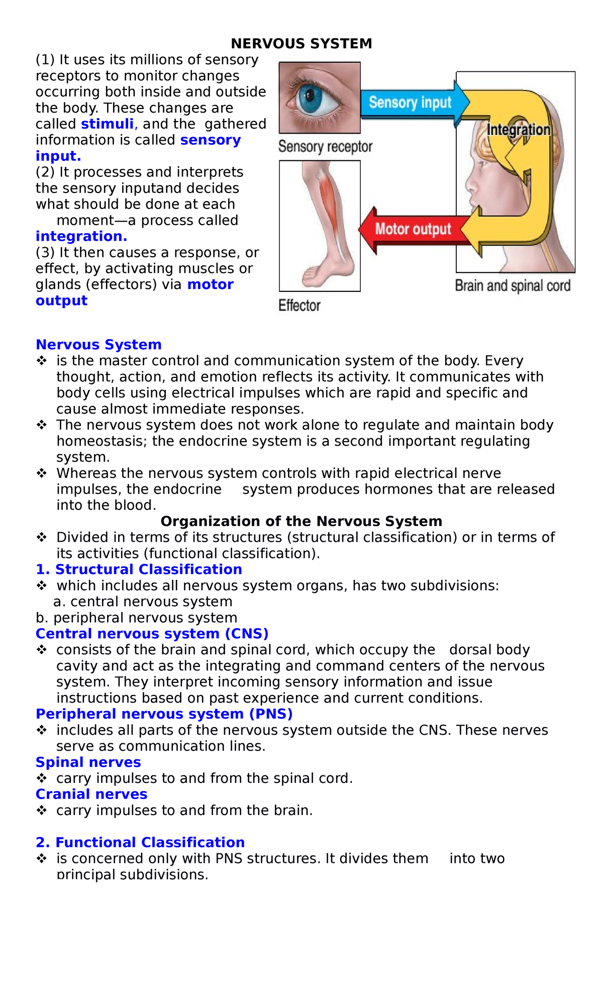 Nervous System 1 - NERVOUS SYSTEM (1) It uses its millions of sensory ...